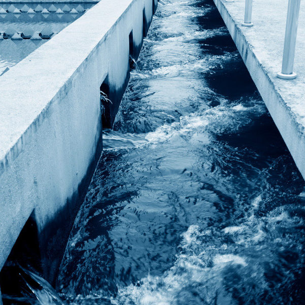 Joint Statement on the Urban Waste Water Treatment Directive (UWWTD ...